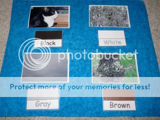 Homemade color matching game | The Wonder Years