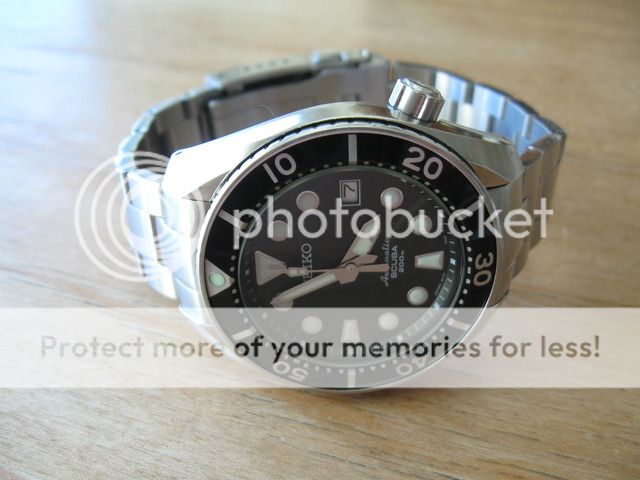 Sumo - custom bezel insert - Northeast Watch Works | WatchUSeek Watch ...