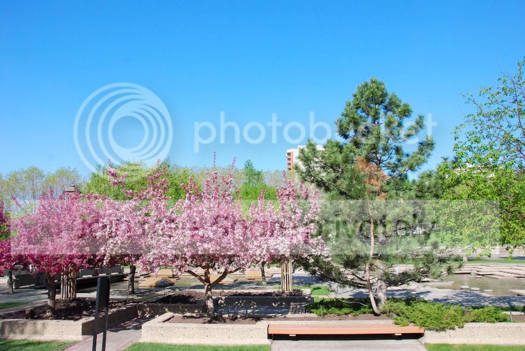 May in Edmonton | SkyscraperCity Forum