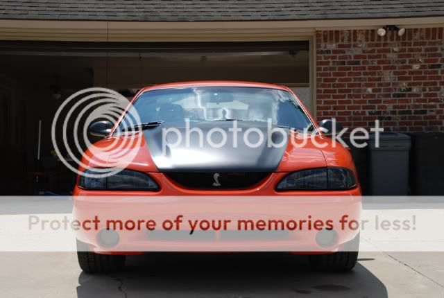 Anybody have a cervinis cowl on their car? (picture thread ...